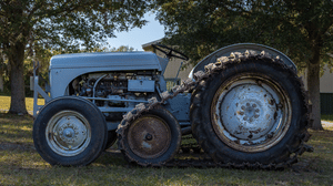 SOLD - 1948 Ferguson TE-20 Tractors with 25 HP | Tractor Zoom