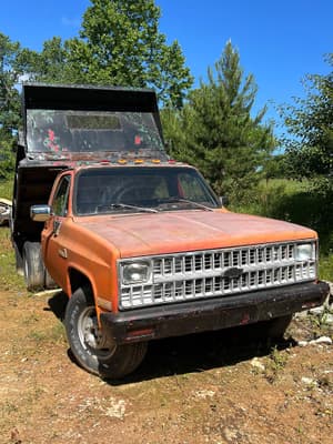 SOLD - 1981 Chevrolet Custom Deluxe 30 Lot No. 5794408 Other Equipment ...