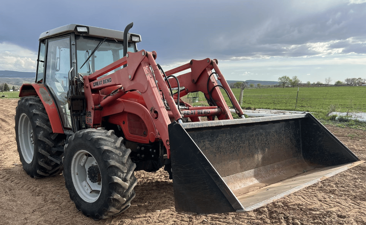 1998 Massey Ferguson 4255 Tractors 40 to 99 HP for Sale | Tractor Zoom