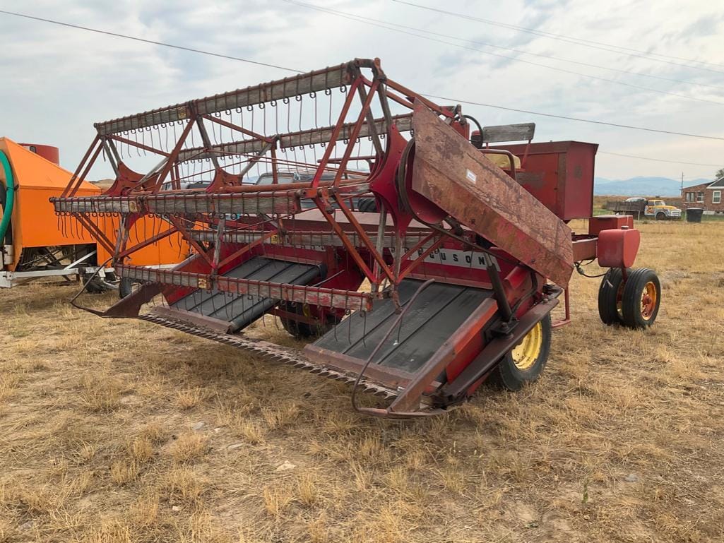 SOLD - Massey Ferguson MF44 Swather (Windrower) - Gas Engine, 10 ...