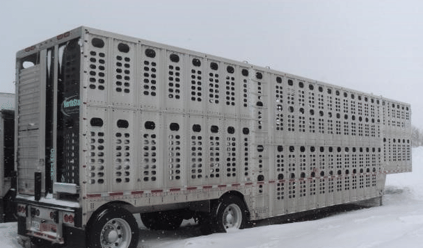2012 Wilson Silverstar Ag Trailers Livestock Trailers for Sale | Tractor Zoom