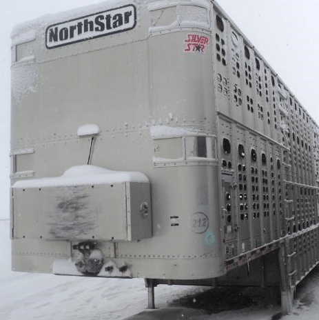 2012 Wilson Silverstar Ag Trailers Livestock Trailers for Sale | Tractor Zoom