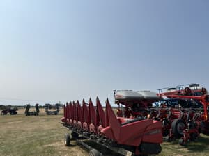 SOLD - 2021 Case IH 4408 Stock No. 10084G Harvesting with 8 Rows ...