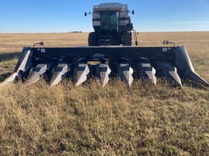SOLD - AgCo 8 Row Corn Head (MN317) Harvesting with 8 Rows | Tractor Zoom