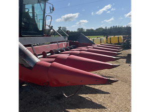 SOLD - 2000 Case IH 1063 Lot No. 36847 Harvesting with 6 Rows | Tractor ...