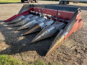 SOLD - Case IH 1063 Lot No. 39O Harvesting with 6 Rows | Tractor Zoom