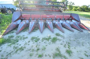SOLD - Case IH 1083 Lot No. 28 Harvesting with 8 Rows | Tractor Zoom