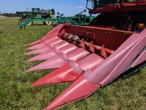 SOLD - Case IH 2206 Lot No. 5979042 Harvesting with 6 Rows | Tractor Zoom