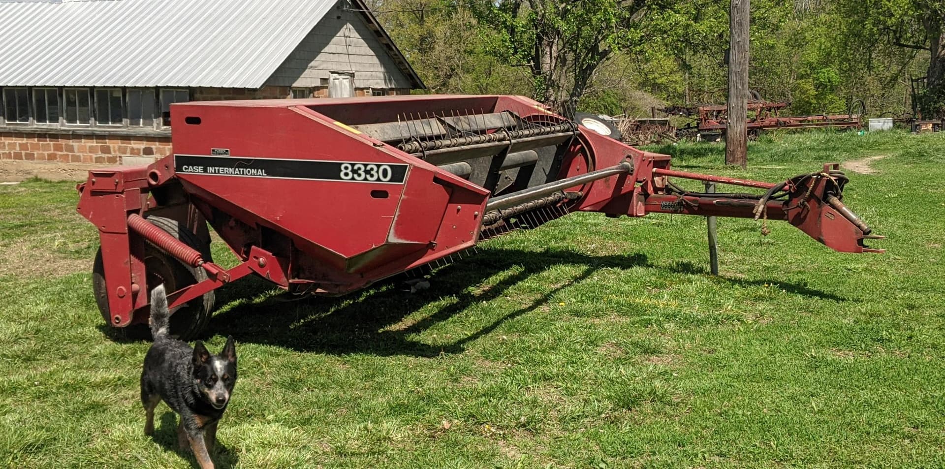 Case IH 8330 Hay and Forage Mowers - Conditioner for Sale | Tractor Zoom