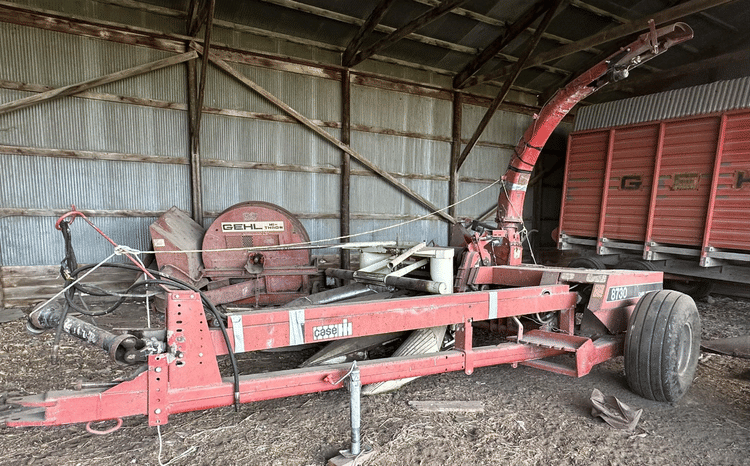 Case IH 8730 Harvesting Forage Harvesters - Pull Type for Sale ...