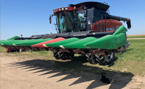 SOLD - Geringhoff RD1230 Harvesting with 12 Rows | Tractor Zoom
