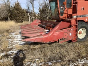 SOLD - International 983 8 Row Corn Head Metal Snouts, Harvesting with ...