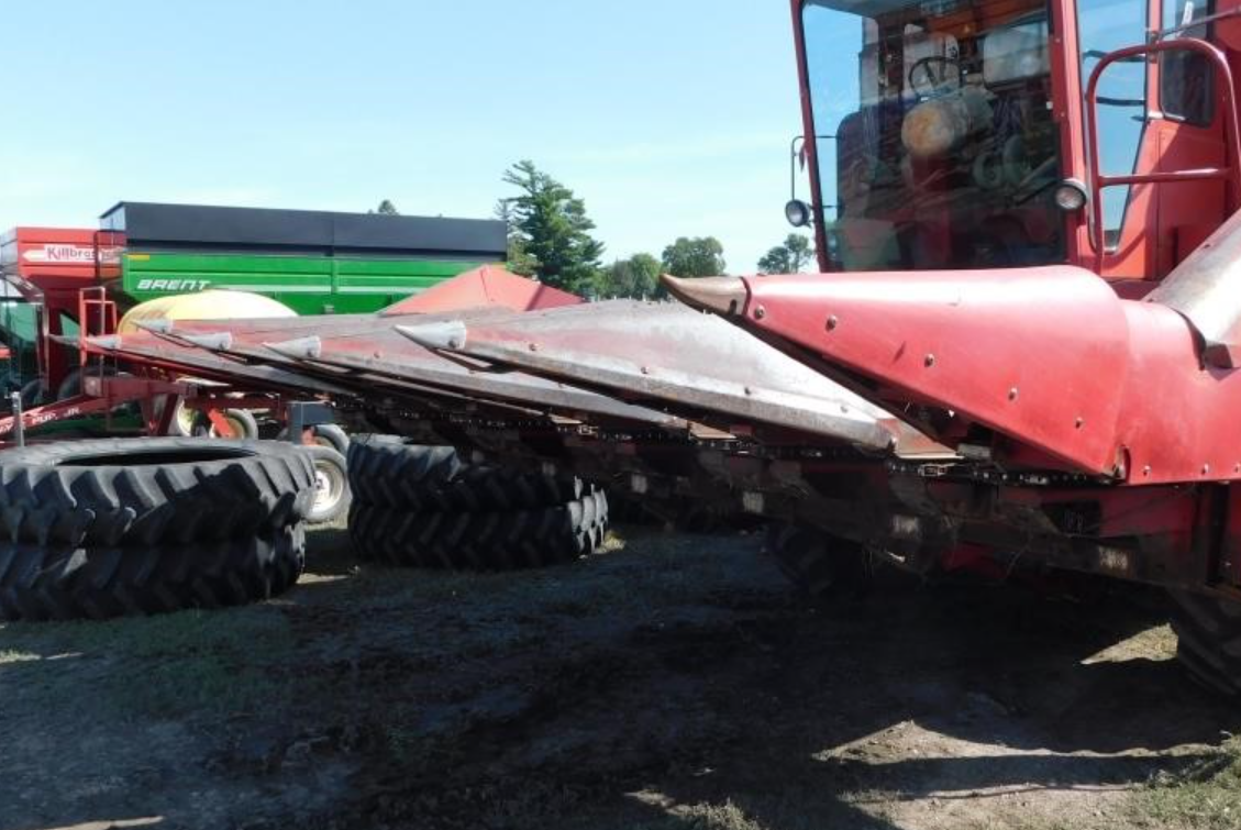 SOLD - International Harvester 963 Harvesting with 6 Rows | Tractor Zoom