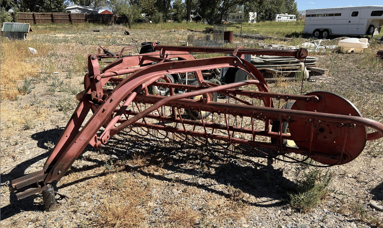 Massey Ferguson 36 Hay and Forage Hay - Rakes/Tedders for Sale ...
