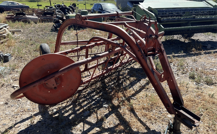 Massey Ferguson 36 Hay and Forage Hay - Rakes/Tedders for Sale ...