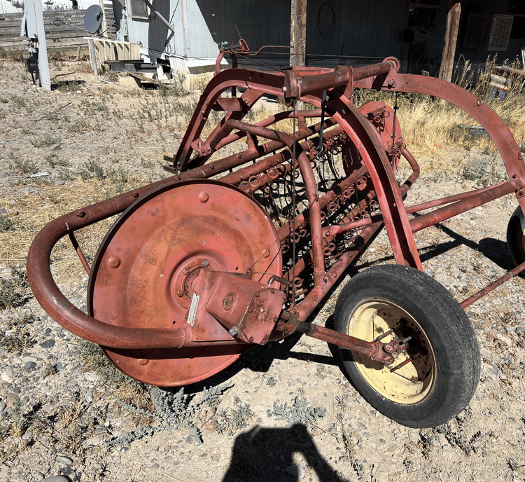 Massey Ferguson 36 Hay and Forage Hay - Rakes/Tedders for Sale ...